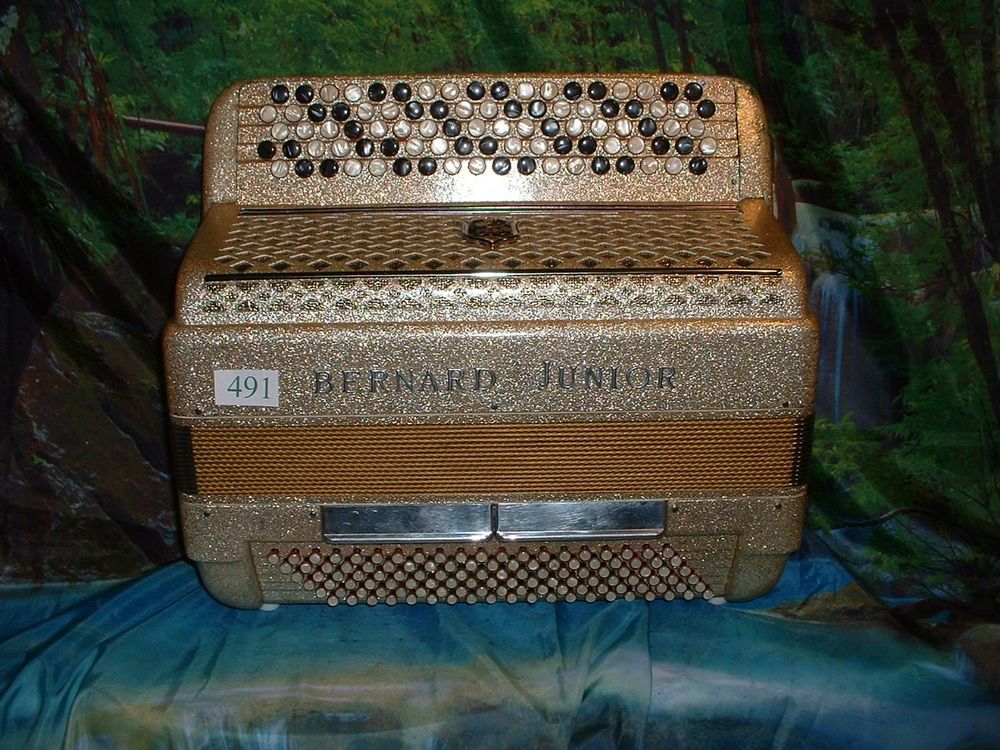 Accordéon gradin n,491 | Kaufen auf Ricardo