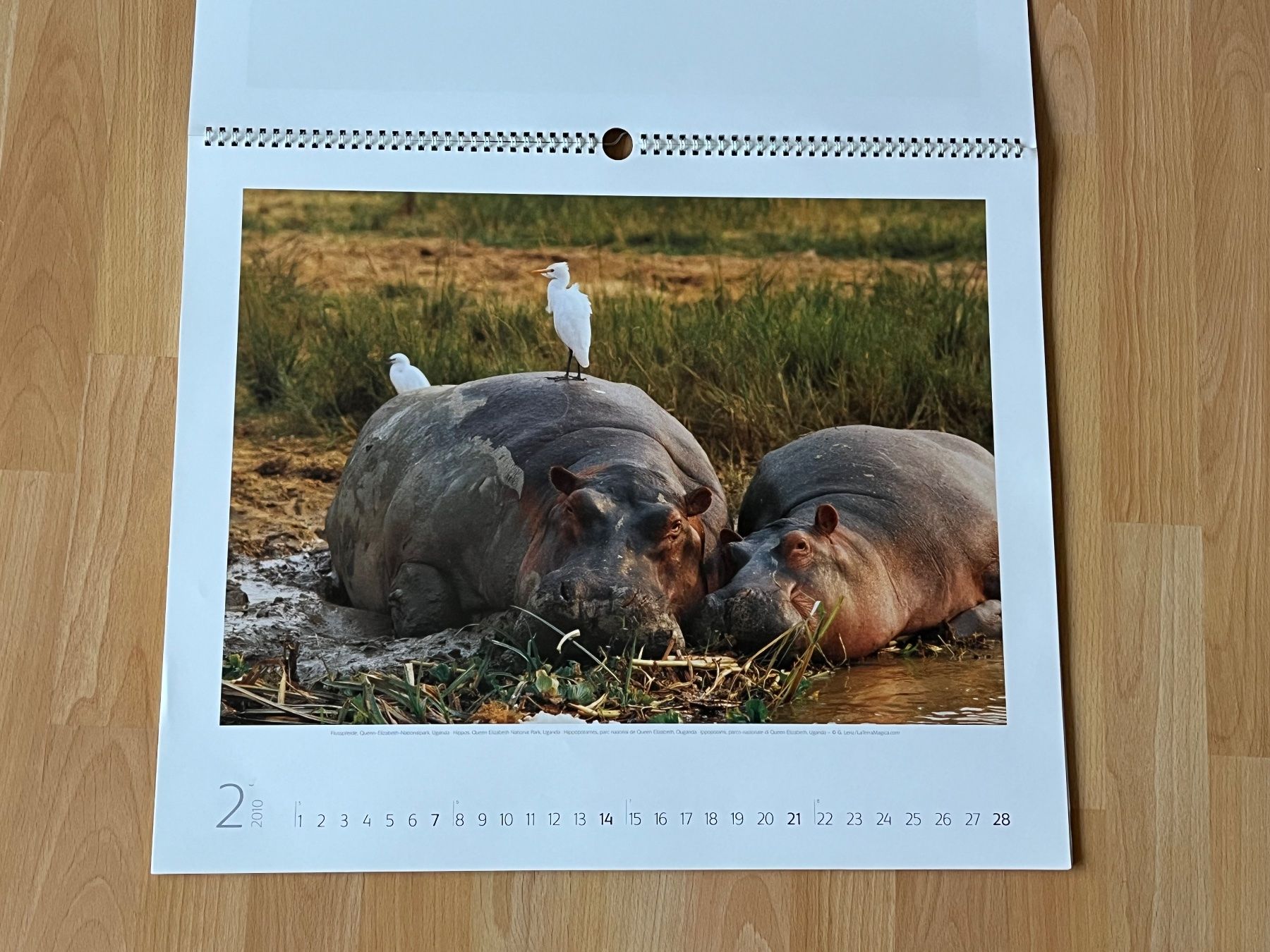 Kalender „Faszination Afrika 2010" -> auch 2027+2032 gültig (Gebraucht ...