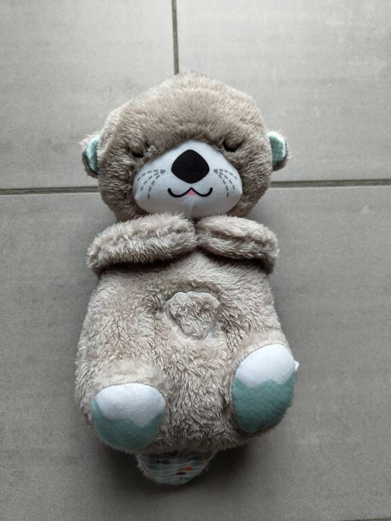 Fisher-Price Schlummer-Otter (Neu (gemäss Beschreibung)) in Effretikon ...