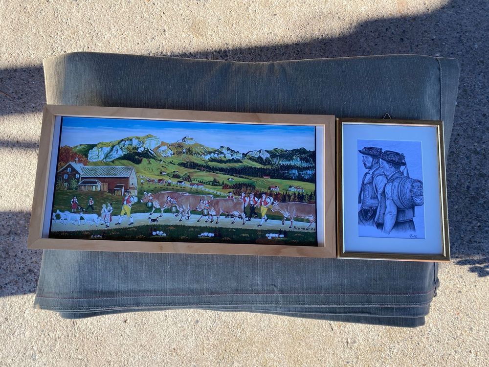 2 sehr schöne Appenzeller Bilder (Gebraucht) in Feldbach für CHF 59 ...