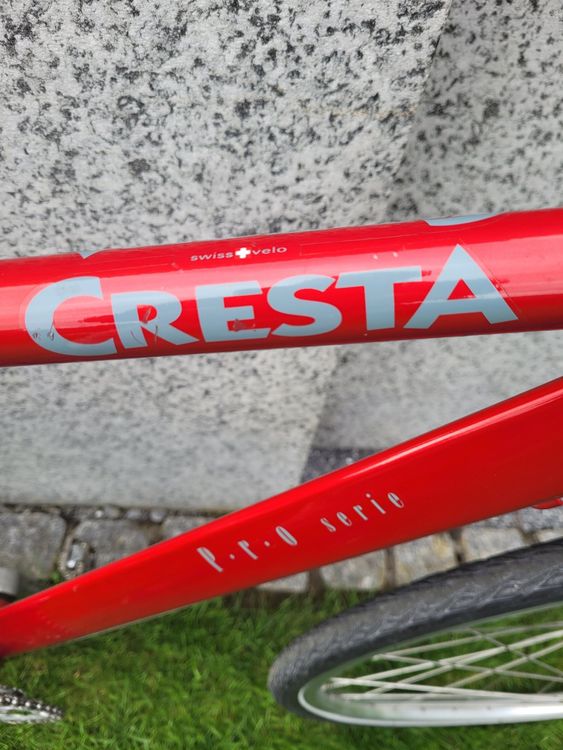 Gravel-Bike Cresta (Swiss-Made / Rarität, Ur-Gravel-Bike) (Gebraucht ...