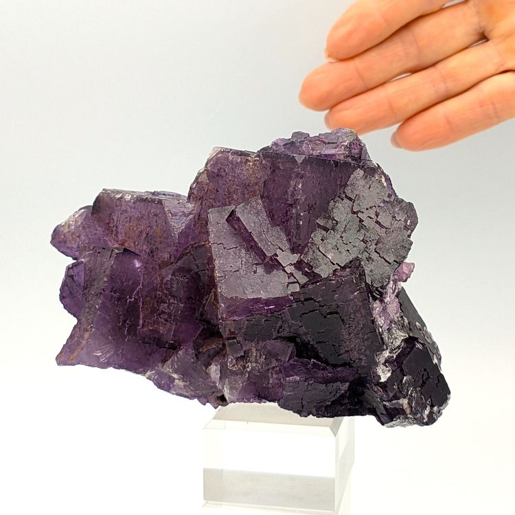 GROSSE kubische FLUORIT, INTENSIV VIOLETT, Illinois (Neu (gemäss ...