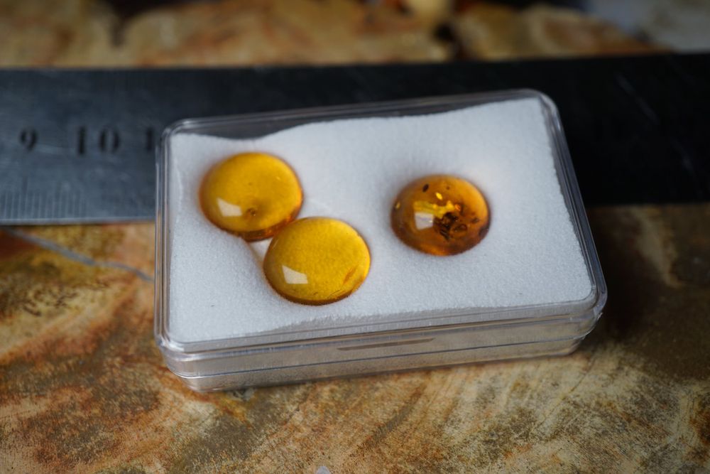 Bernstein 3 Stück Button Im Böxli Set (Neu und originalverpackt) in Eschenbach SG für CHF 15 ...