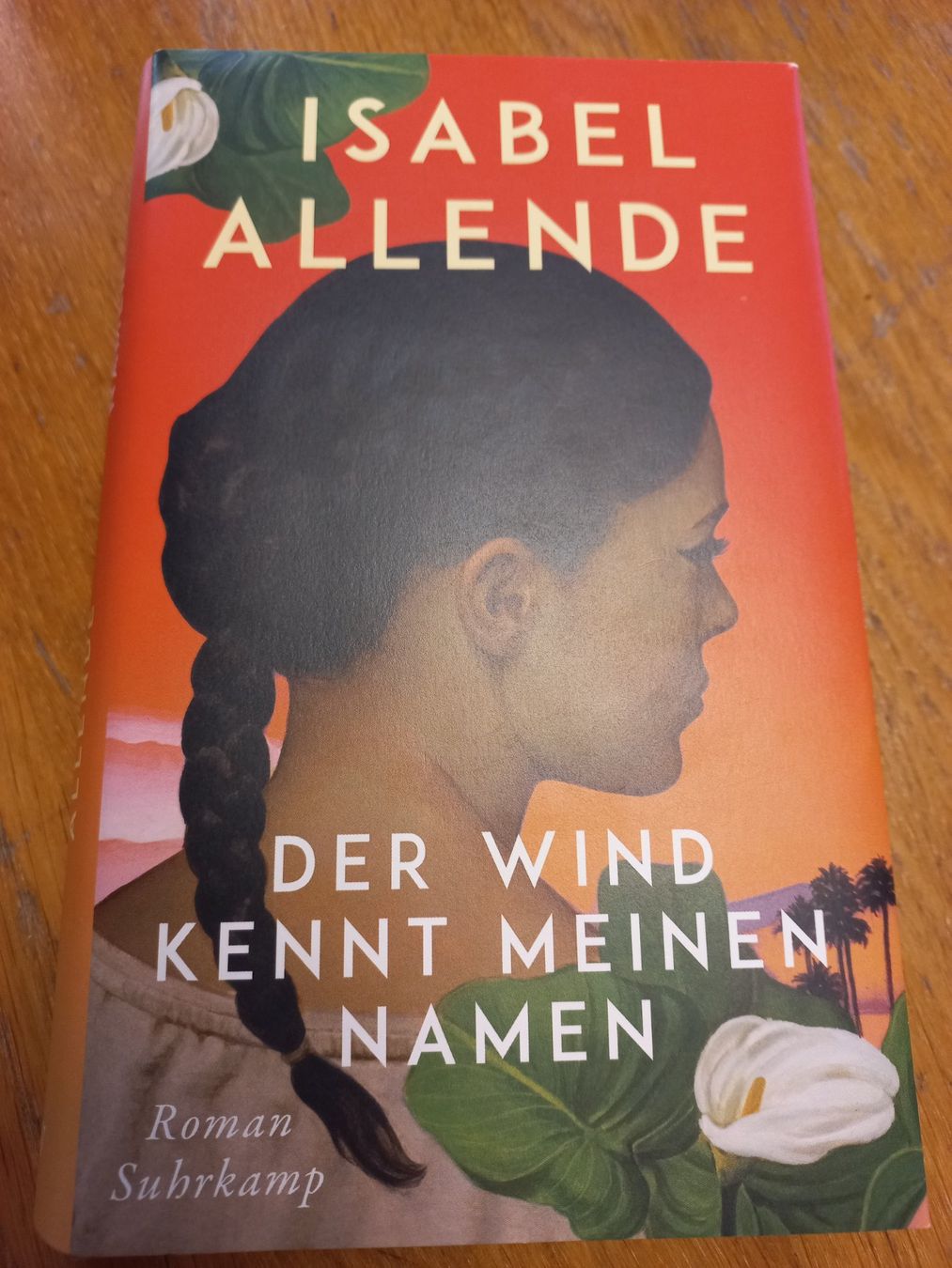 Isabel Allende: Der Wind kennt meinen Namen - Roman Top! (Gebraucht) in ...