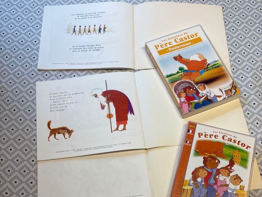 Le père Castor Lot de livres et DVD pour enfant 🎬🧸 (D'occasion) à Ste ...