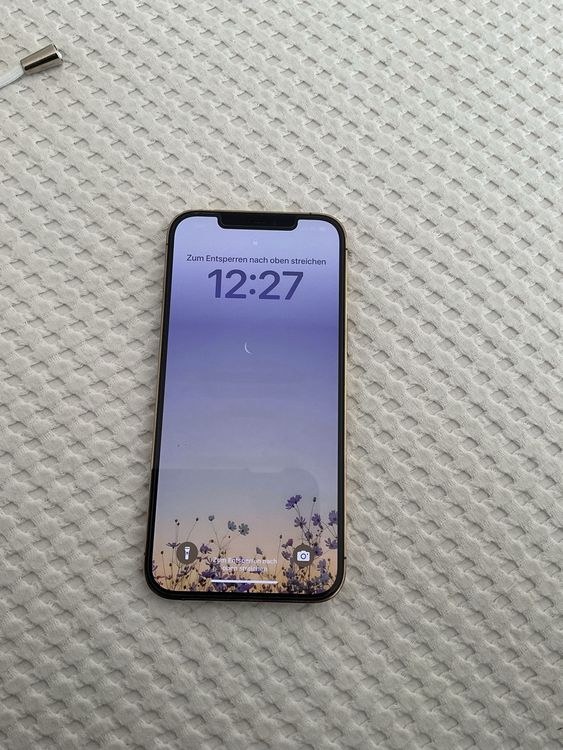 iPhone 12 Pro max Gold 256GB + 16 Hüllen (Gebraucht) in Rheinfelden für CHF 255 – mit Lieferung ...