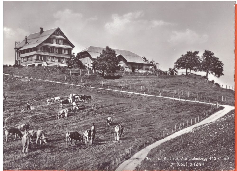 WALD - ZH - ALP SCHEIDEGG GAST UND KURHAUS - BELEBTE AK | Kaufen auf Ricardo