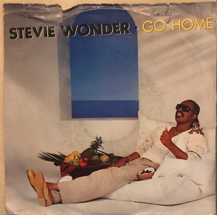 STEVIE WONDER - GO HOME (Gebraucht) in Bussigny für CHF 4 – mit ...