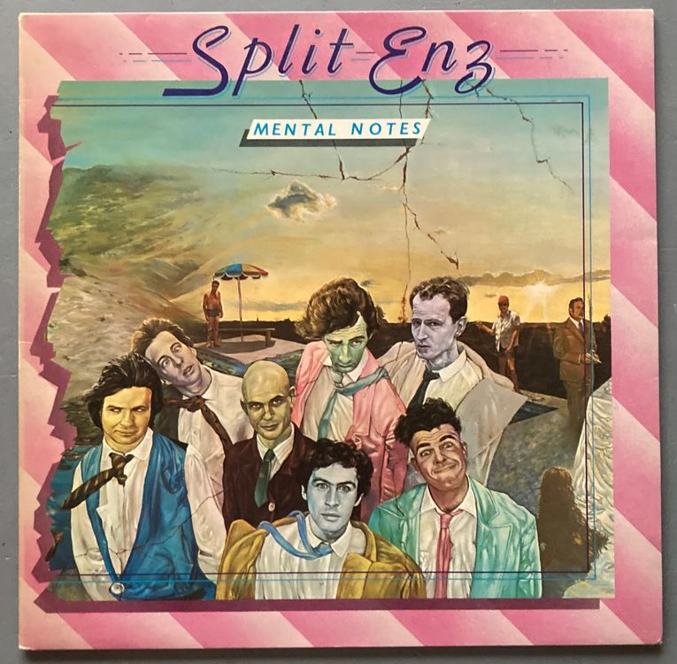 SPLIT ENZ - MENTAL NOTES (Gebraucht) in Poliez-Pittet für CHF 7 – mit ...