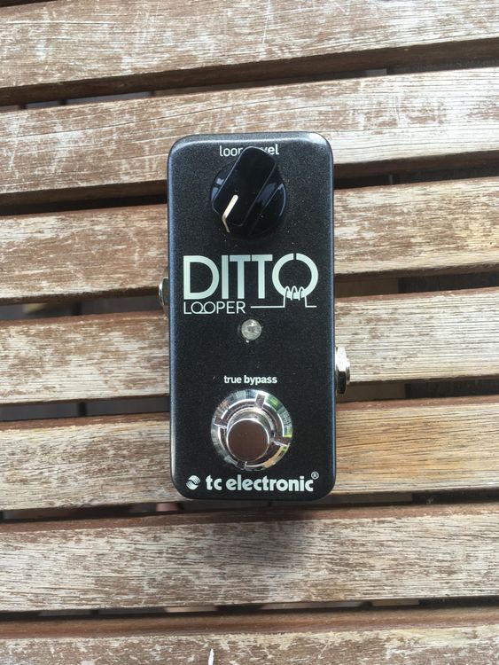 Ditto Looper | Kaufen auf Ricardo