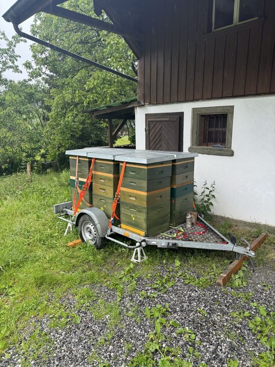 Sachtransportanhänger SARIS 750kg, Jahrgang 1997 (Gebraucht) in Thal für CHF 555 – nur Abholung ...