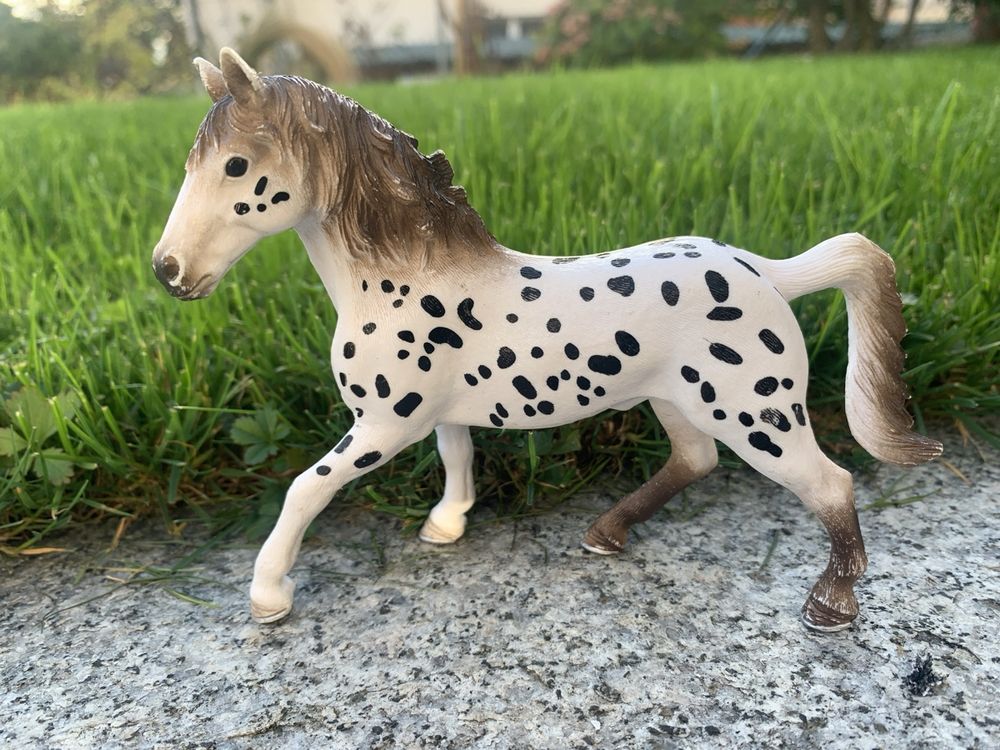 Schleich Knabstrupper Hengst (Gebraucht) in Hinwil für CHF 5 – mit ...