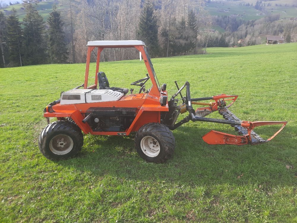Reform Metrac 2003 (Gebraucht) in Sigriswil für CHF 10500 – nur ...