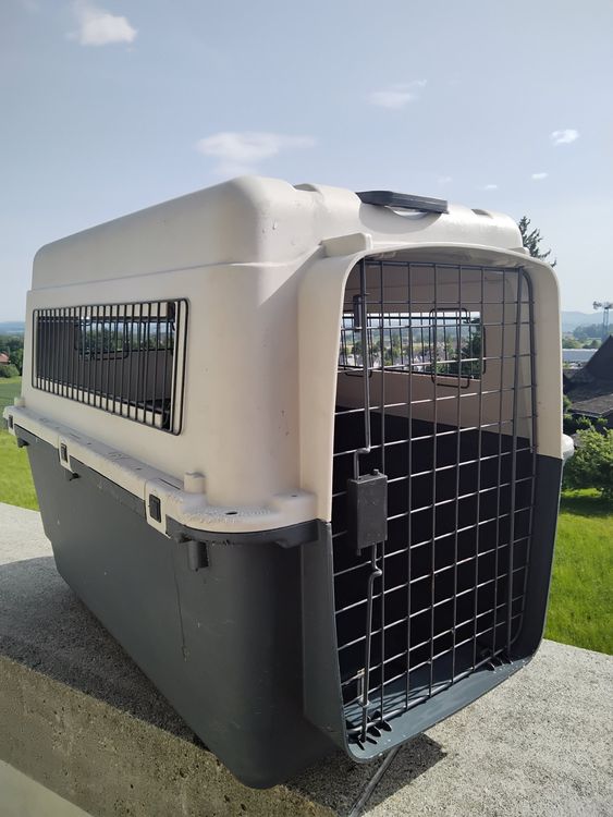 Hunde Transport Box AniOne Wild Variety Transportbox L | Kaufen auf Ricardo