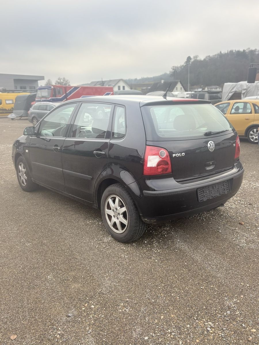 Vw Polo Gebraucht In Der Nhenull