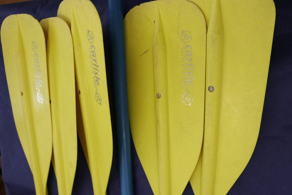 1 Paddel für Raft GUIDE 167 cm + 5 Carlisle Standard Paddle (Gebraucht ...