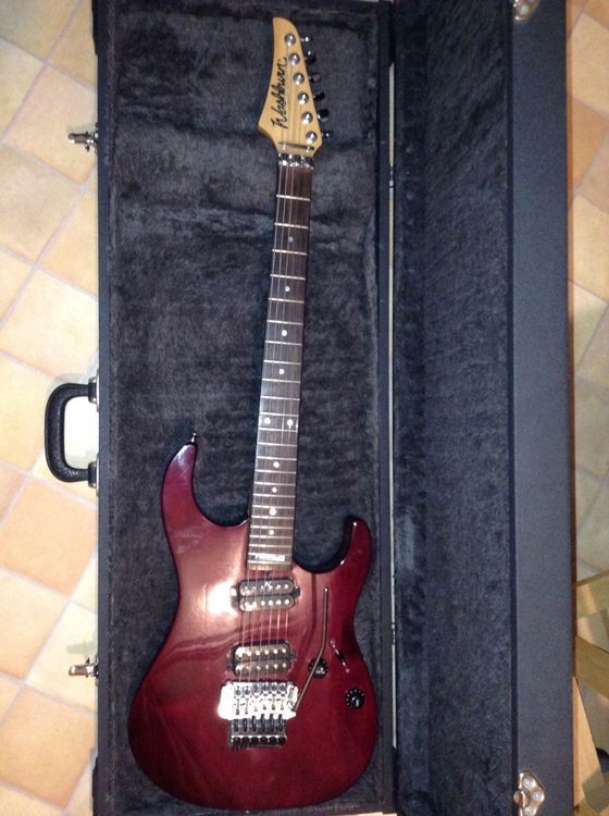 Washburn Mercury Series | Kaufen auf Ricardo