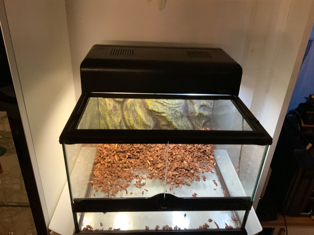 Terrarium EXO Terra mit Lampe (Gebraucht) in Rorschach für CHF 61 – mit ...