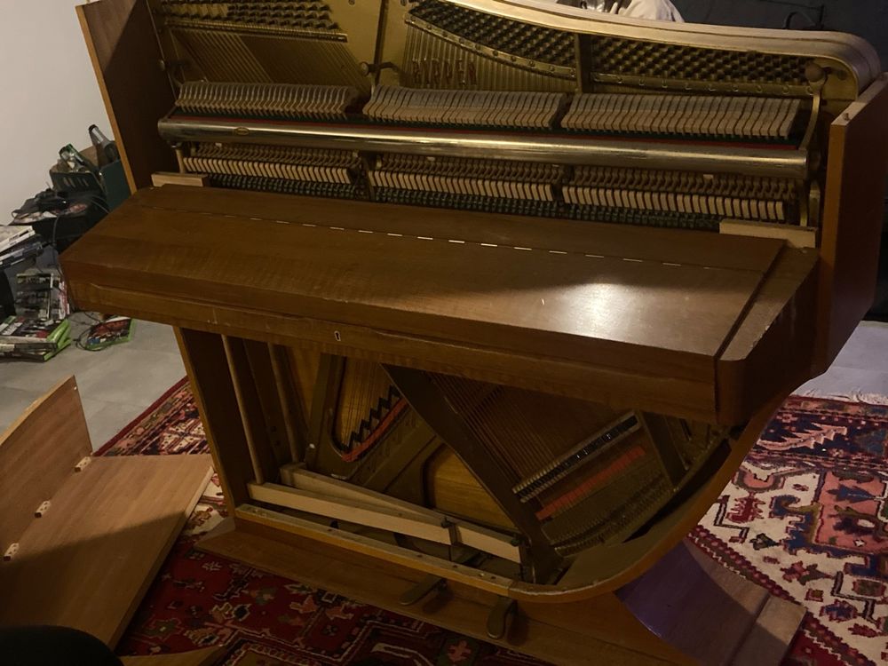 Rippen Maestro Piano / Klavier (Gebraucht) in Zürich für CHF 51 – nur ...