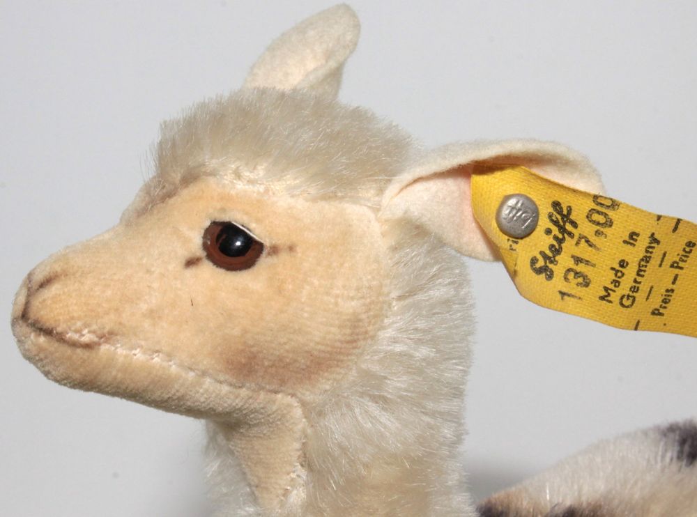 STEIFF LAMA / Gr. 17 cm (Gebraucht) in Allschwil für CHF 27 – mit ...