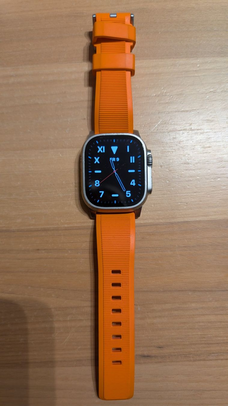 Apple Watch Ultra Titan 49mm mit Ocean Band (Gebraucht) in Cham für CHF ...