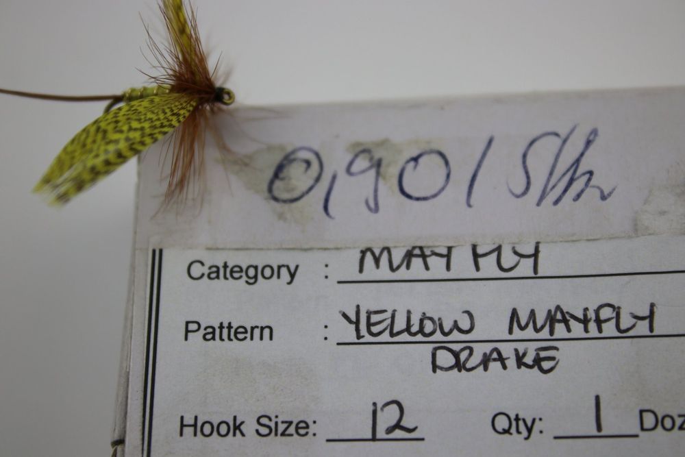 Yellow Drake Mayfly | Kaufen auf Ricardo