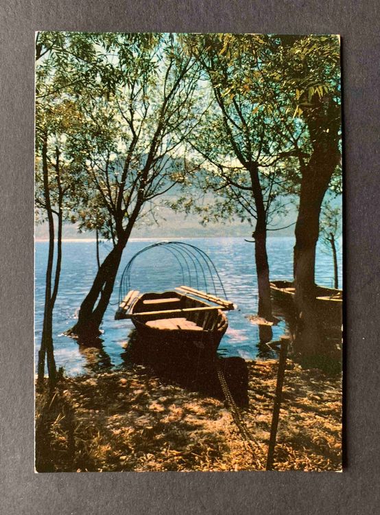 AK Locarno Rivapiana (Gebraucht) in Goldau für CHF 3 – mit Lieferung auf Ricardo kaufen