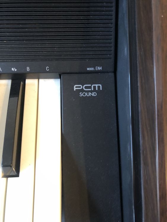 Technics Orgel PCM Sound | Kaufen auf Ricardo