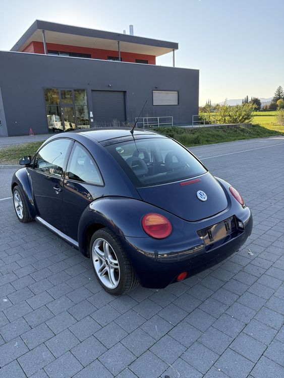New Beetle Gebraucht