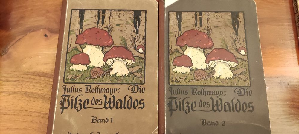 1913 Luzern Pilze des Waldes, Rothmayr, Band 1 und 2, (Gebraucht) in ...