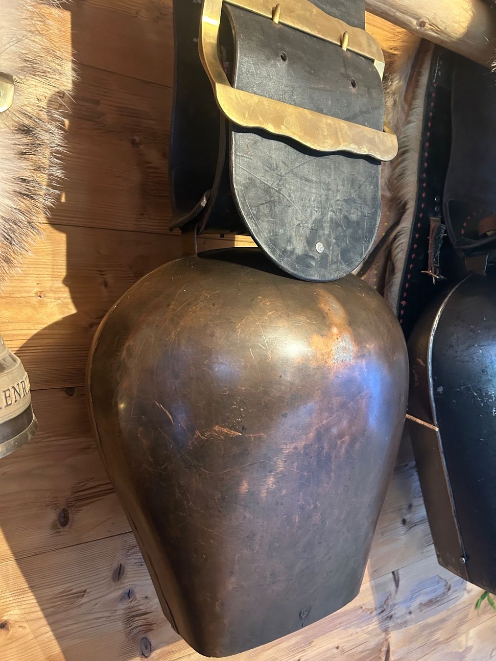 Steiner Treichel (Gebraucht) in Beckenried für CHF 900 – nur Abholung ...