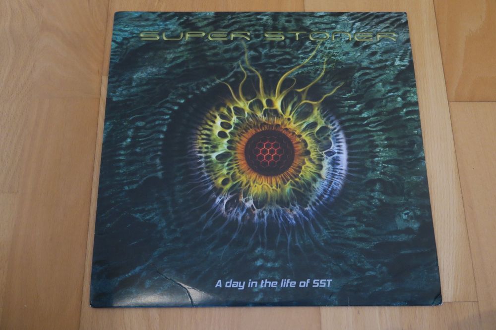 Super Stoner - A day in the life of SST (Gebraucht) in Thun für CHF 20 ...