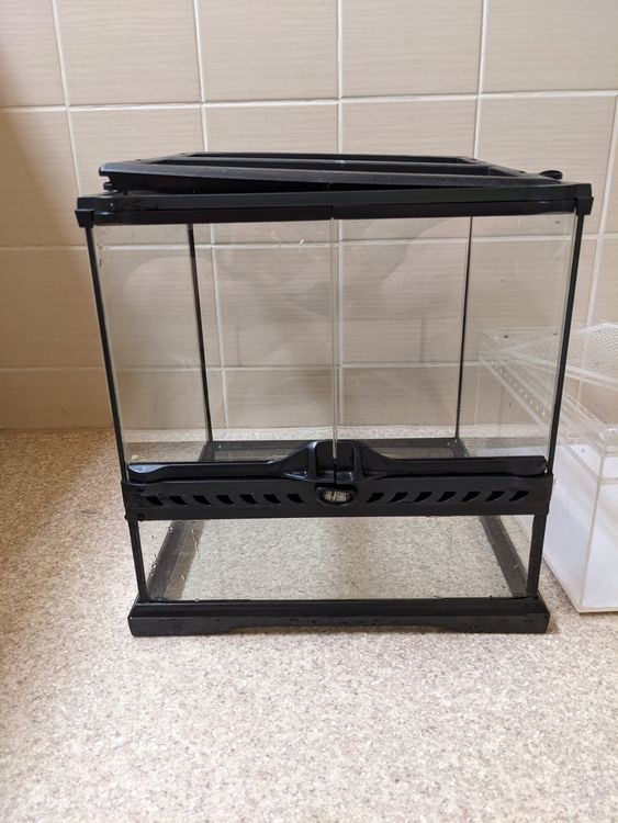 Terrarium mit Lampe und Transportbox | Kaufen auf Ricardo