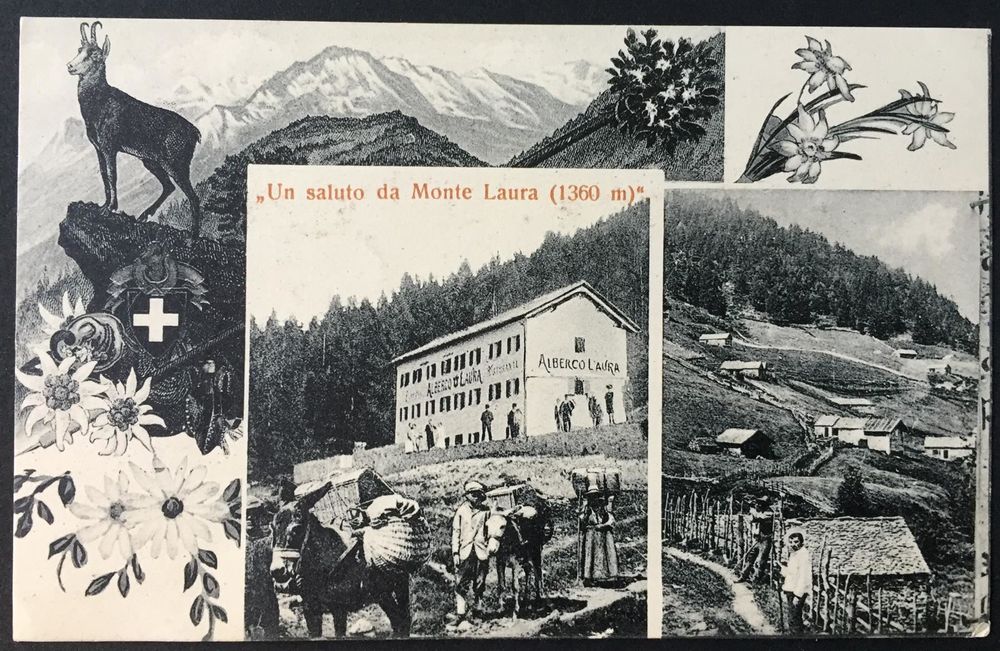 ROVEREDO Monte Laura Rist. Albergo Laura, Maultier-Transport (Neu ...