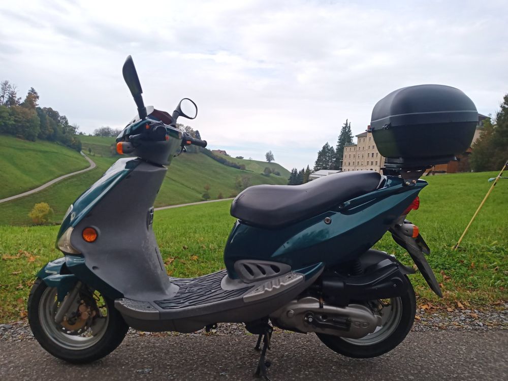 Pgo T-Rex 125 Roller (Gebraucht) in Menzingen für CHF 1800 – nur ...