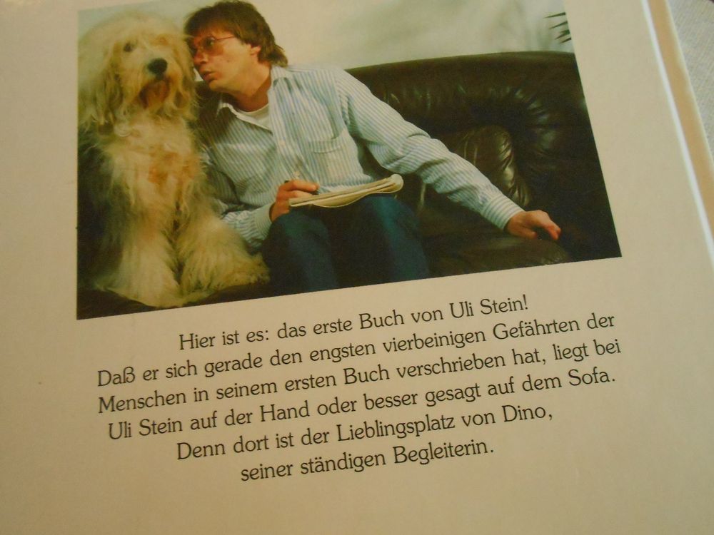 Uli Stein / Ach du dicker Hund - Comic (Gebraucht) in Schindellegi für ...