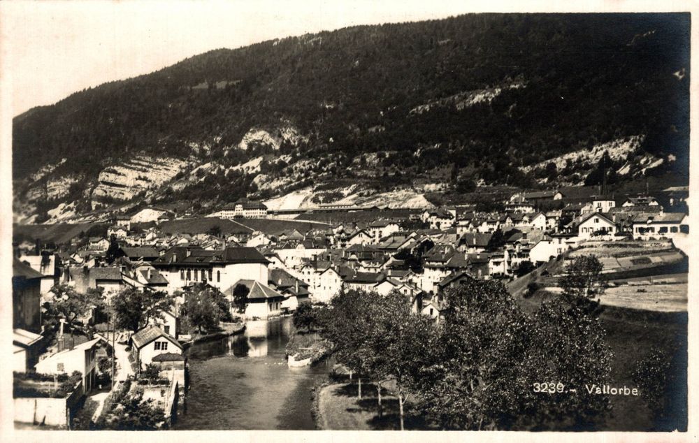 Vallorbe. Gesamtansicht (Gebraucht) in Bronschhofen für CHF 8 – mit Lieferung auf Ricardo kaufen
