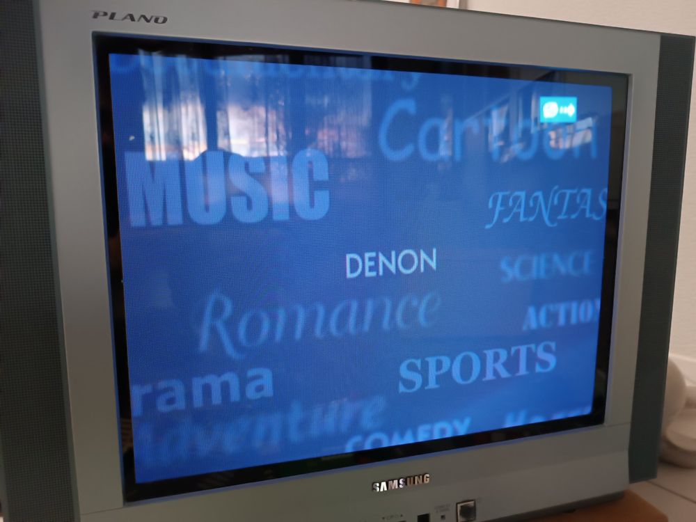 Samsung Plano CRT TV | Kaufen auf Ricardo