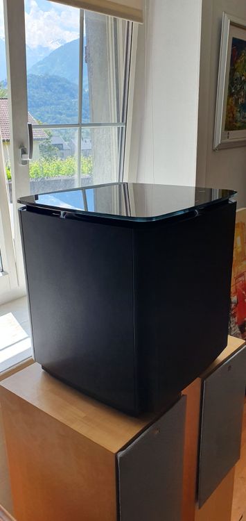 BOSE Acoustimass 300 Bass Module | Kaufen auf Ricardo