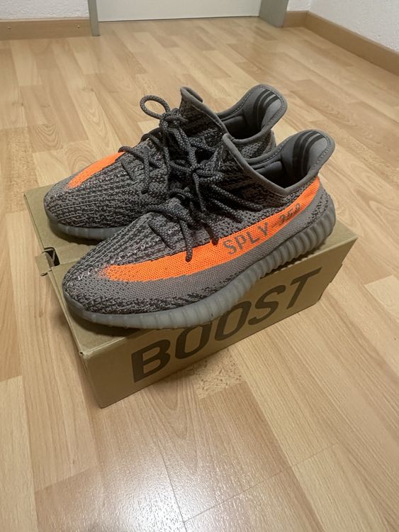 Adidas Yeezy Boost 350 V2 Beluga Reflective (Gebraucht) in Arbon für ...