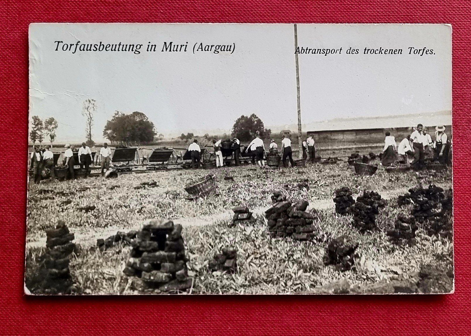 Muri (AG) - Torfausbeutung - Abtransport des Torfes - 1929 (Gebraucht ...