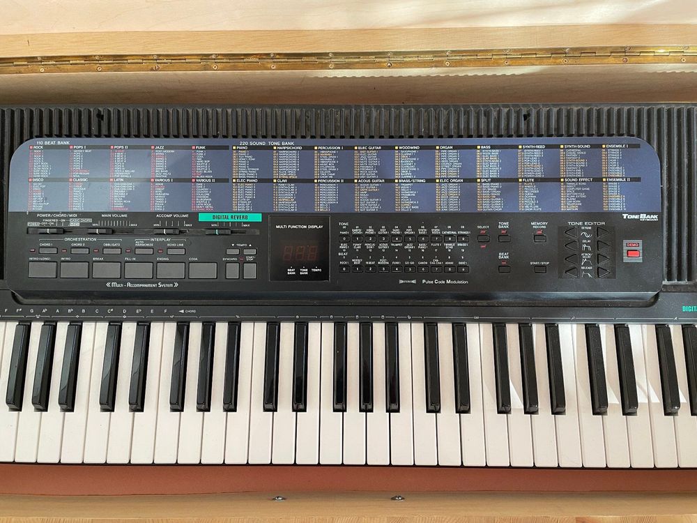 Casio CT-680 Keyboard, Vintage Digital Synthesizer (Gebraucht) in ...