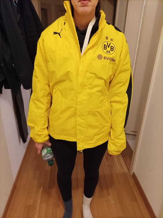 BVB Regenjacke, Puma, Größe M | Kaufen auf Ricardo