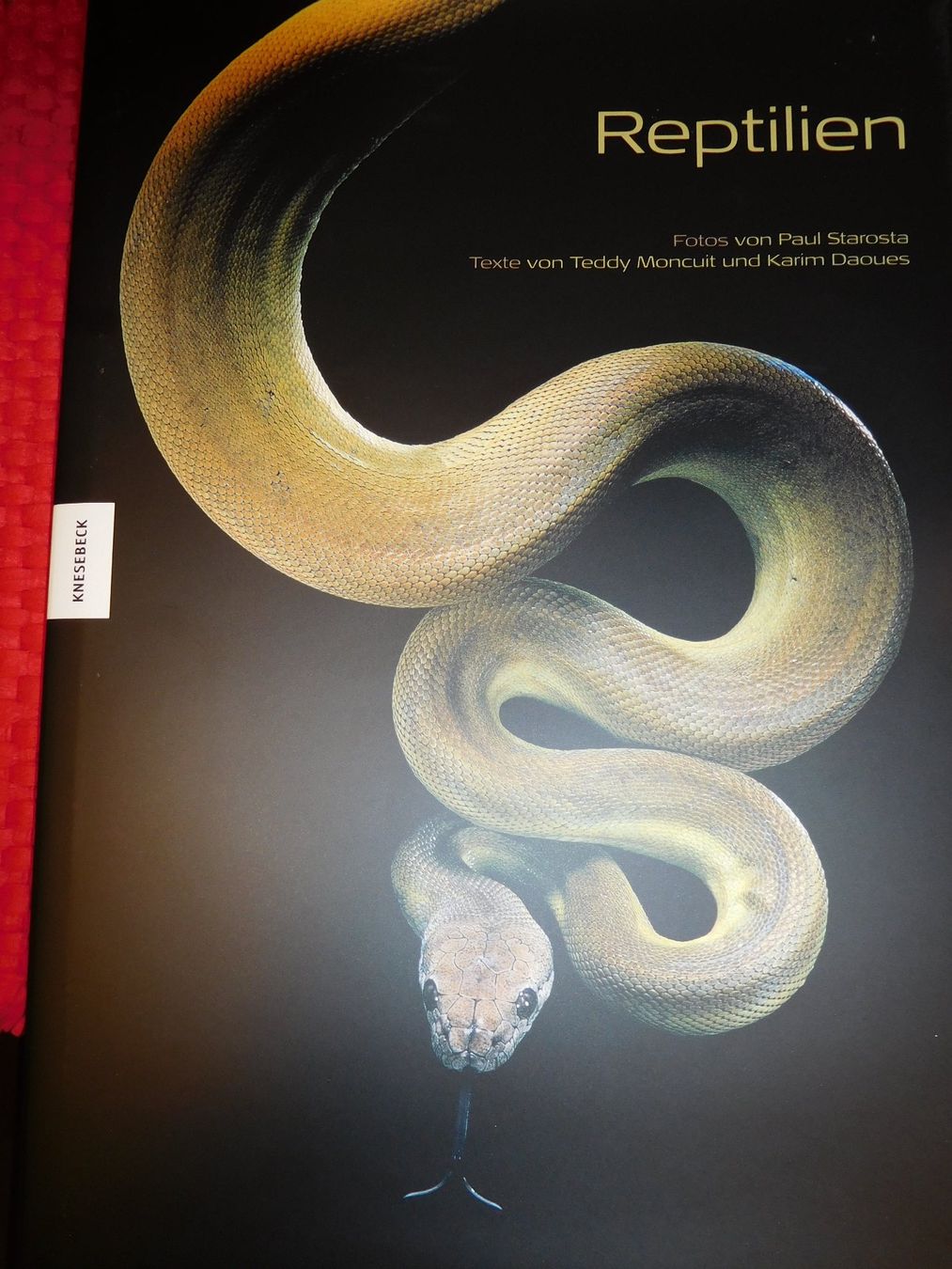 REPTILIEN, Knesebeck, Starosta, Schlangen, 2004, wie NEU!!! (Neu (gemäss Beschreibung)) in Olten ...