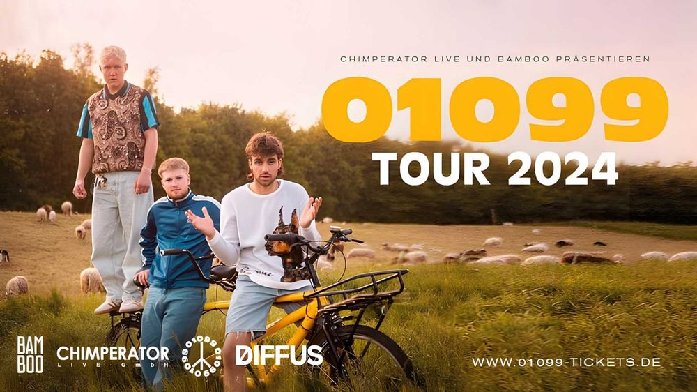 01099 Konzert Ticket (Gebraucht) in Bremgarten AG für CHF 100 – mit ...