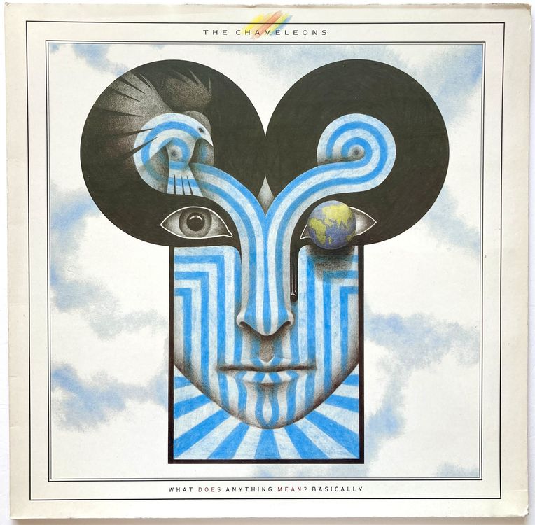 THE CHAMELEONS - WHAT DOES ANYTHING MEAN BASICALLY (Gebraucht) in ...