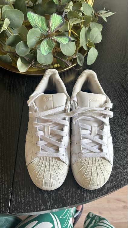 Wunderbar Weisse Adidas Superstar Bilder