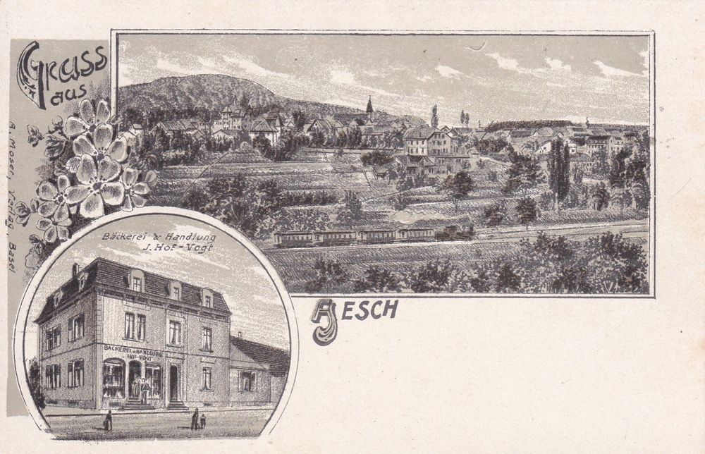 Postkarte Aesch | Kaufen auf Ricardo