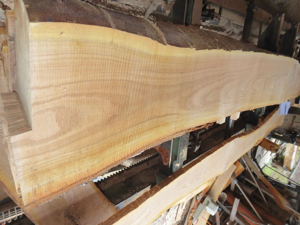 Kirschbaumbrett 12 cm | Kaufen auf Ricardo