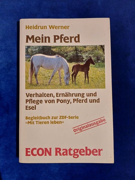 Mein Pferd - Heidrum Werner Econ Ratgeber (Gebraucht) in Niederweningen ...